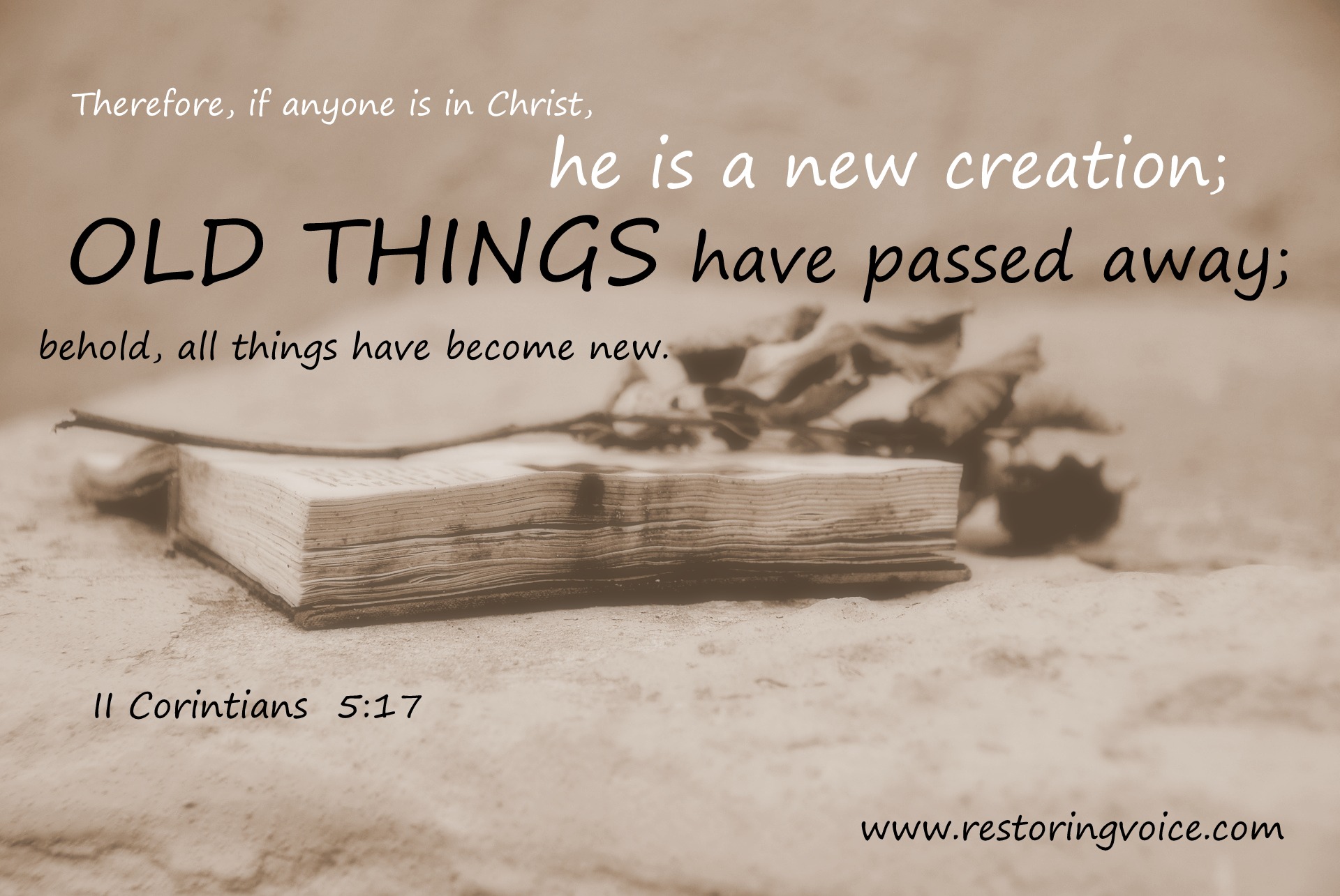 Old Things – Restoring Voice