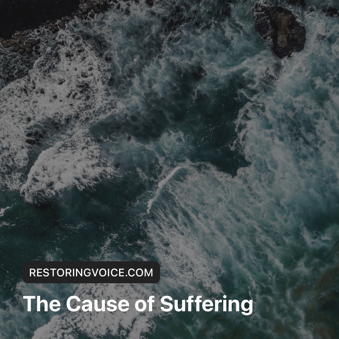 The Cause of Suffering – Restoring Voice