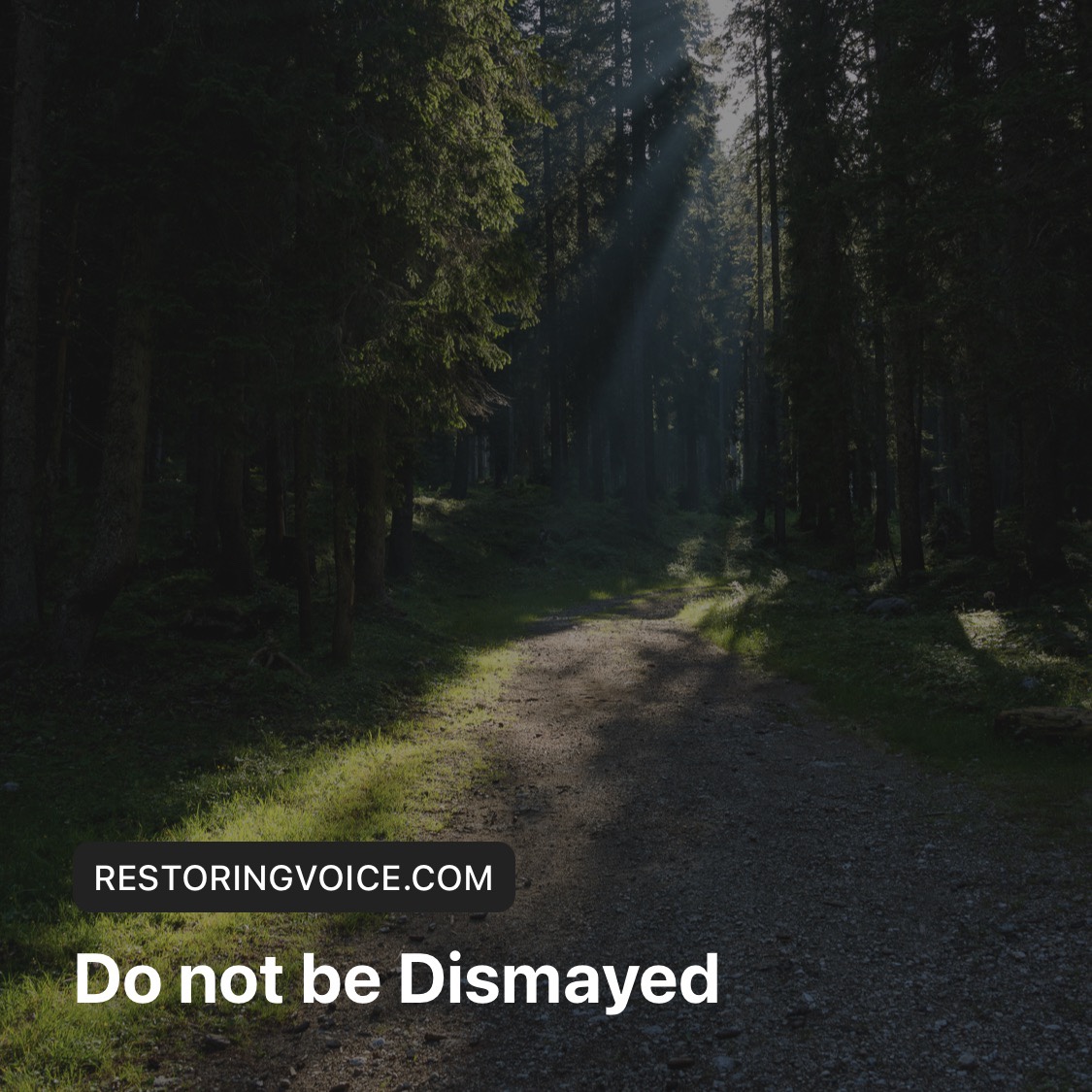 Do not be dismayed – Restoring Voice