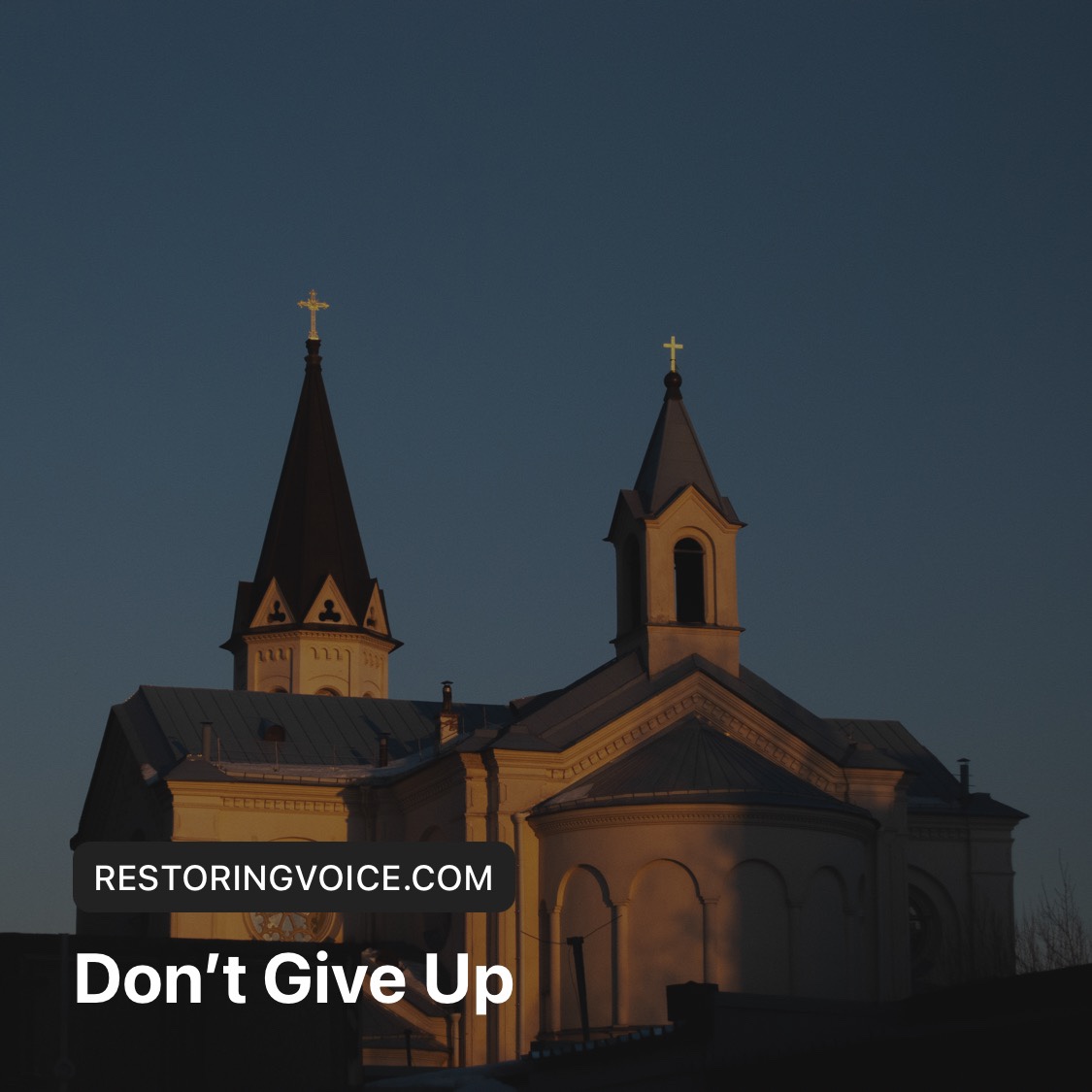 Don’t Give Up – Restoring Voice