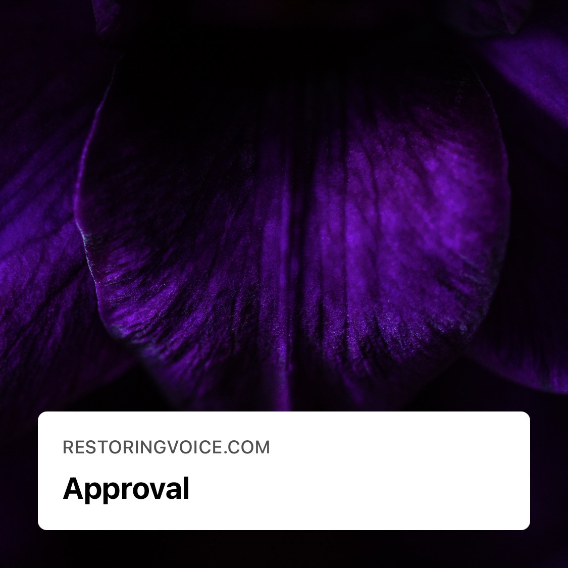 Approval – Restoring Voice