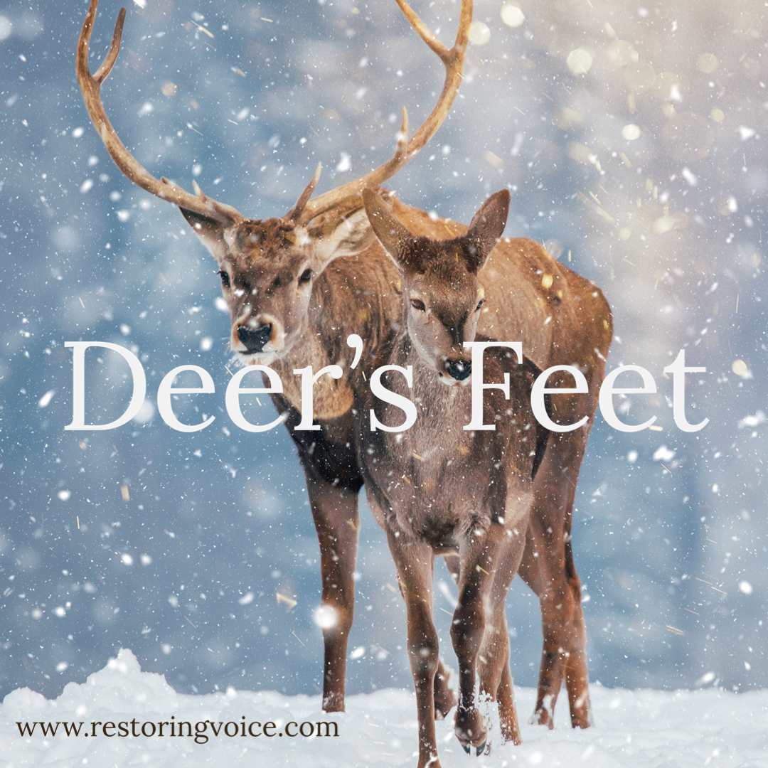 Deer’s feet – Restoring Voice
